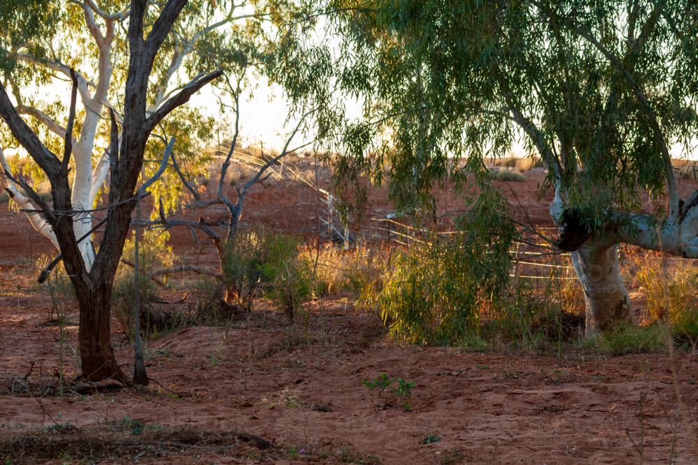 Image of Arid rural landscape in the Pilbara region of Western ...