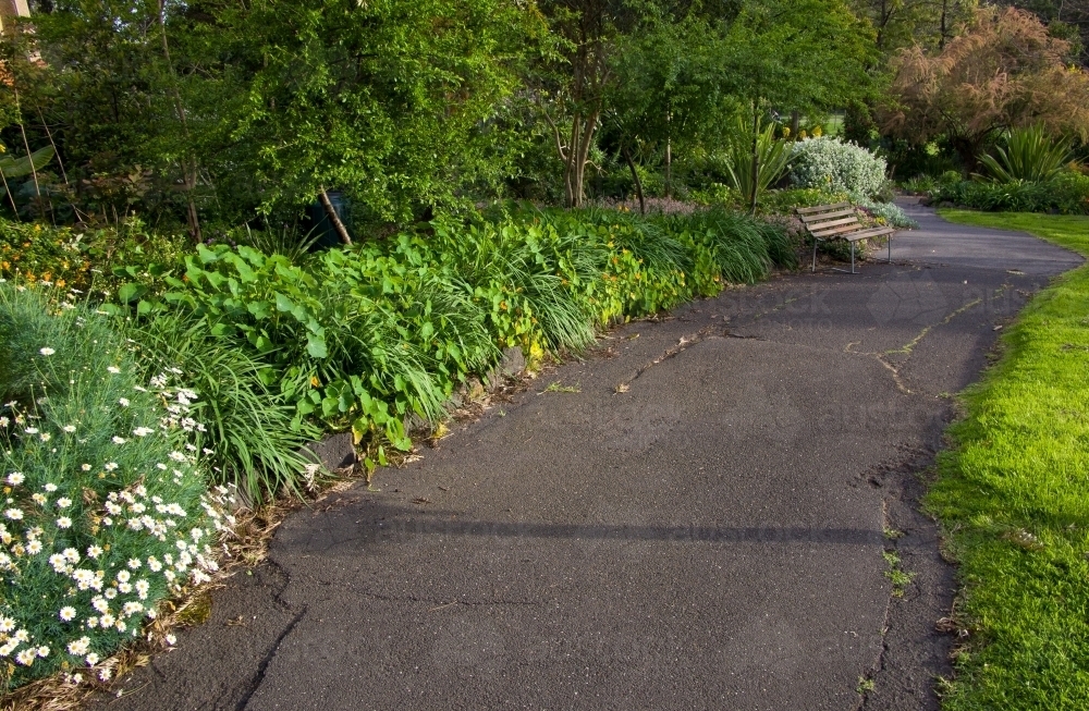 Image of Asphalt Garden Path with Empty Bench - Austockphoto