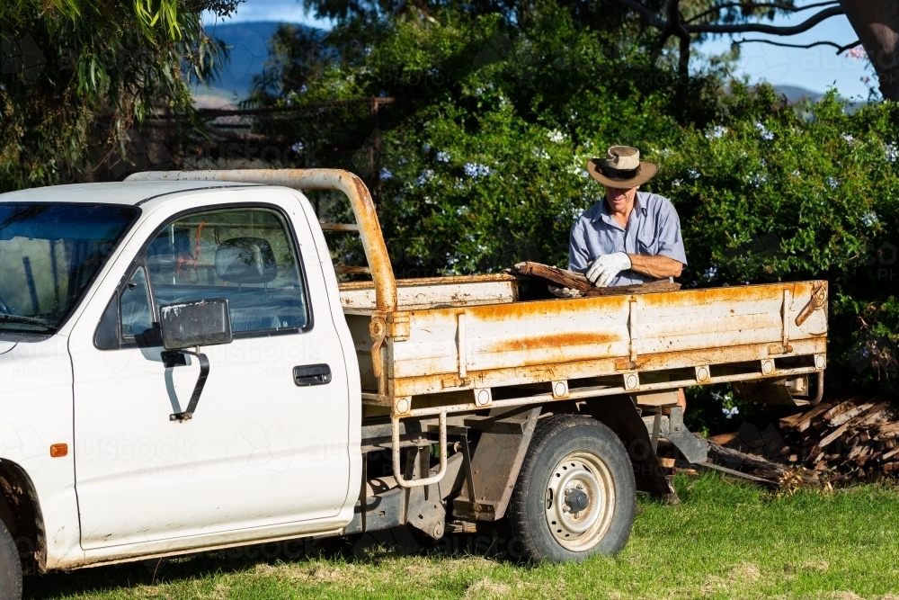 Image of Aussie farmer unloading firewood from farm ute - Austockphoto