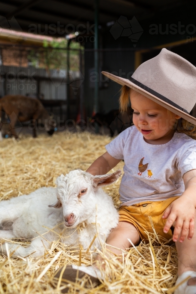 Image of Aussie kid at petting zoo with baby goat animal - Austockphoto
