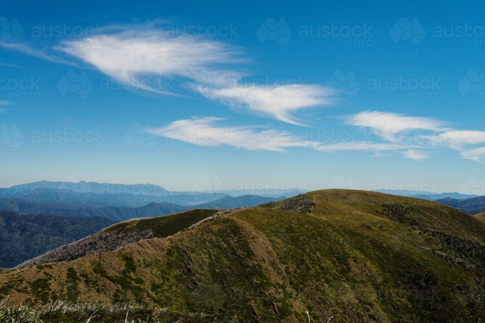 Image of Australian Alps in summer - Austockphoto