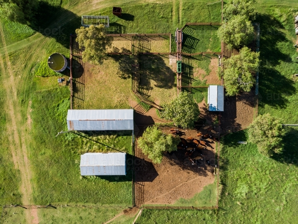 Image of Australian cattle yards seen in overhead top down aerial view ...