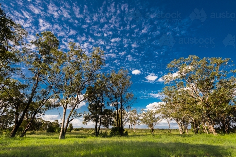 Image of australian countryside - Austockphoto