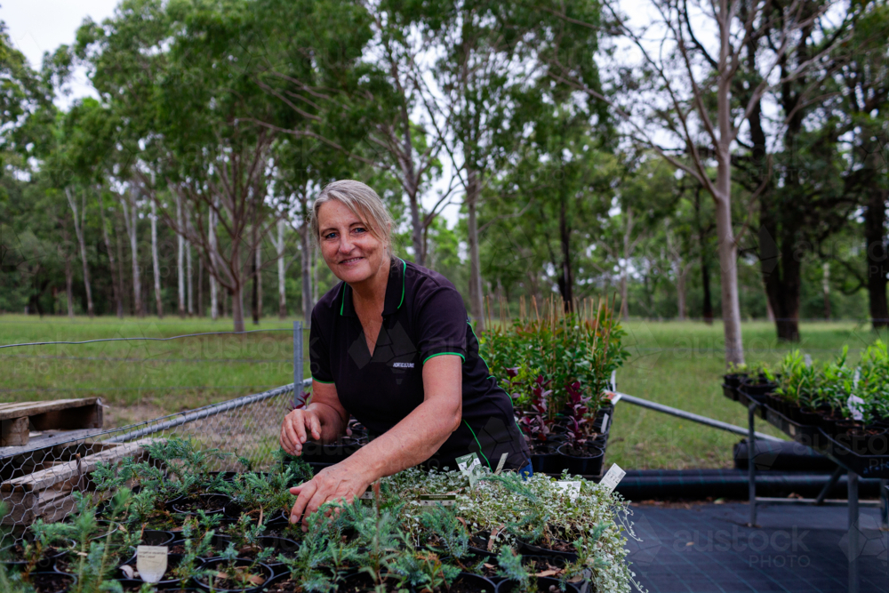 Image of Australian female horticulturalist gardening in freshly potted ...