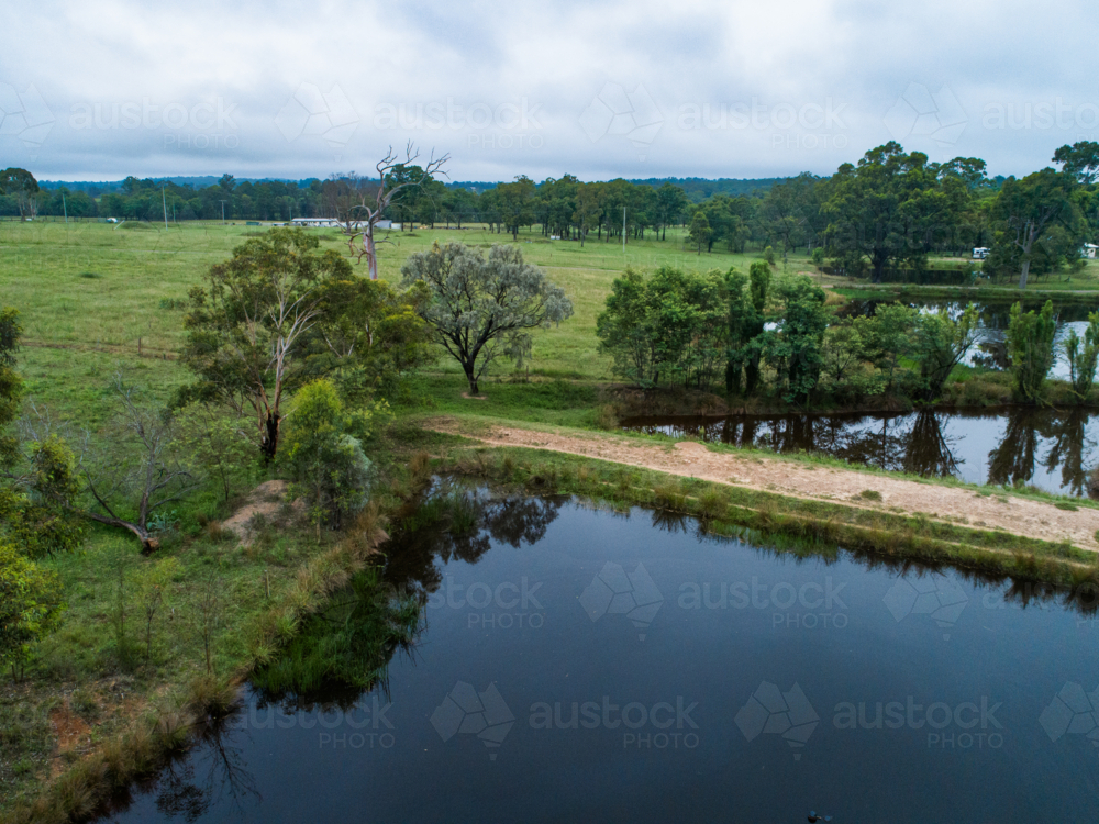 Image of Australian gum trees growing beside farm dam in rural paddock ...