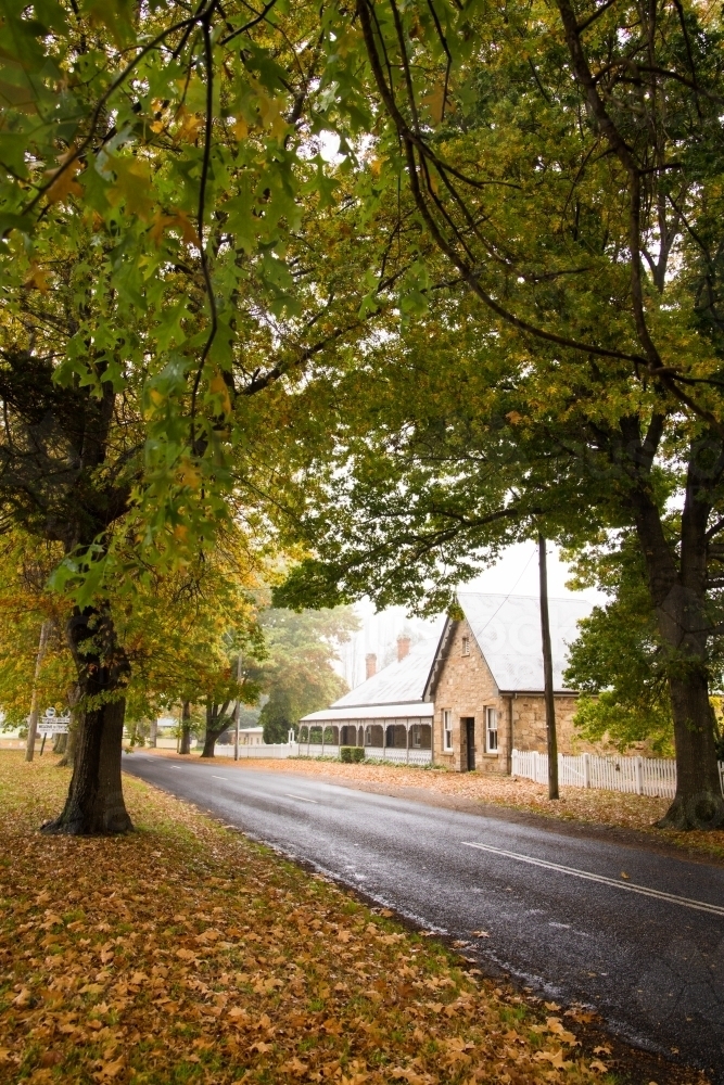 Image of Autumn/April street scene of historical residence in ...