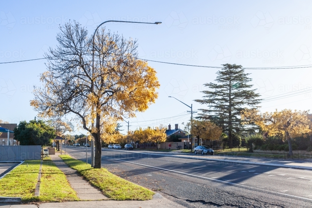 Image of Autumn tree lined street in country town of Goulburn, NSW ...