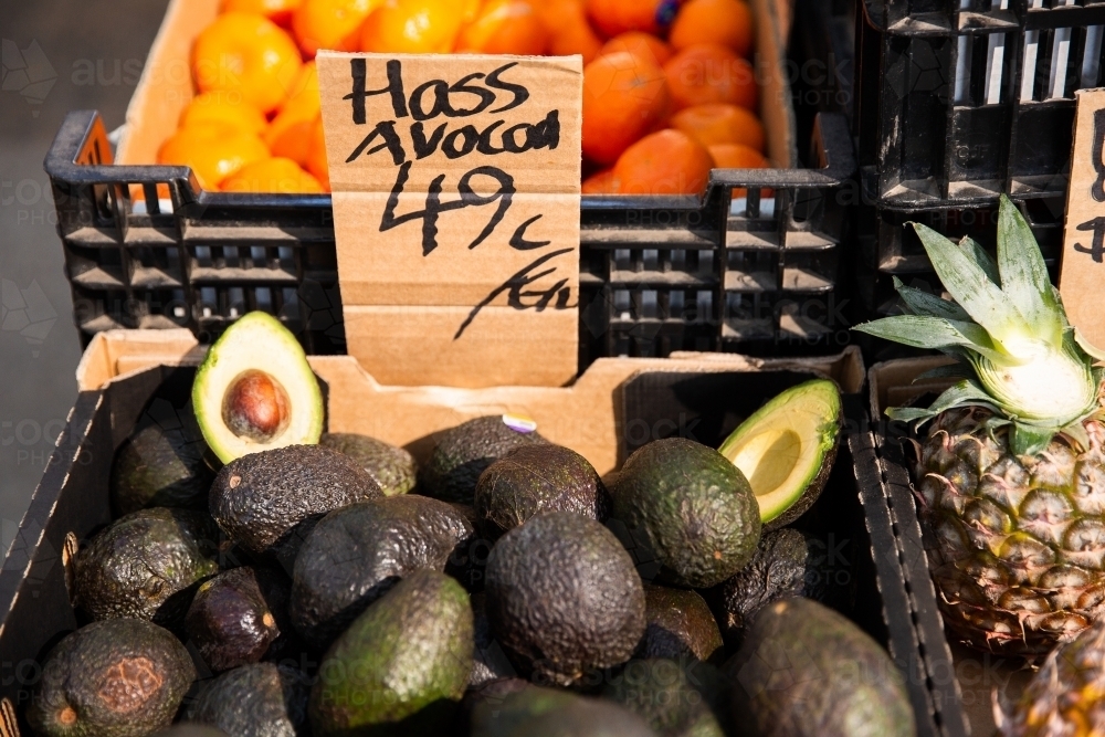 Image of avocado for sale at the markets - Austockphoto