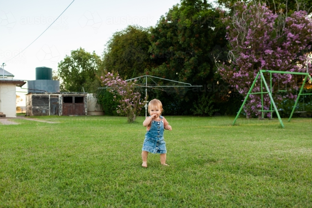 Image of Baby country kid toddling across green farmyard lawn in ...