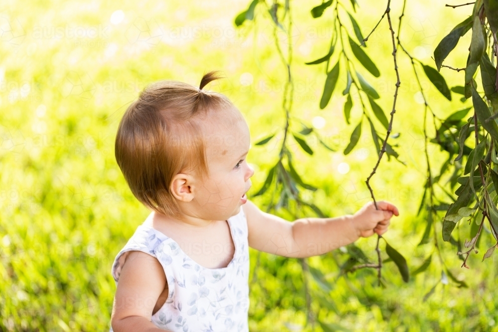 Image of Baby with fountain hairstyle on grass playing with hanging ...