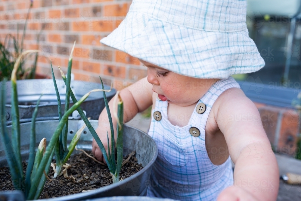 Image of Baby with hat on digging in pot of dirt in garden outside ...