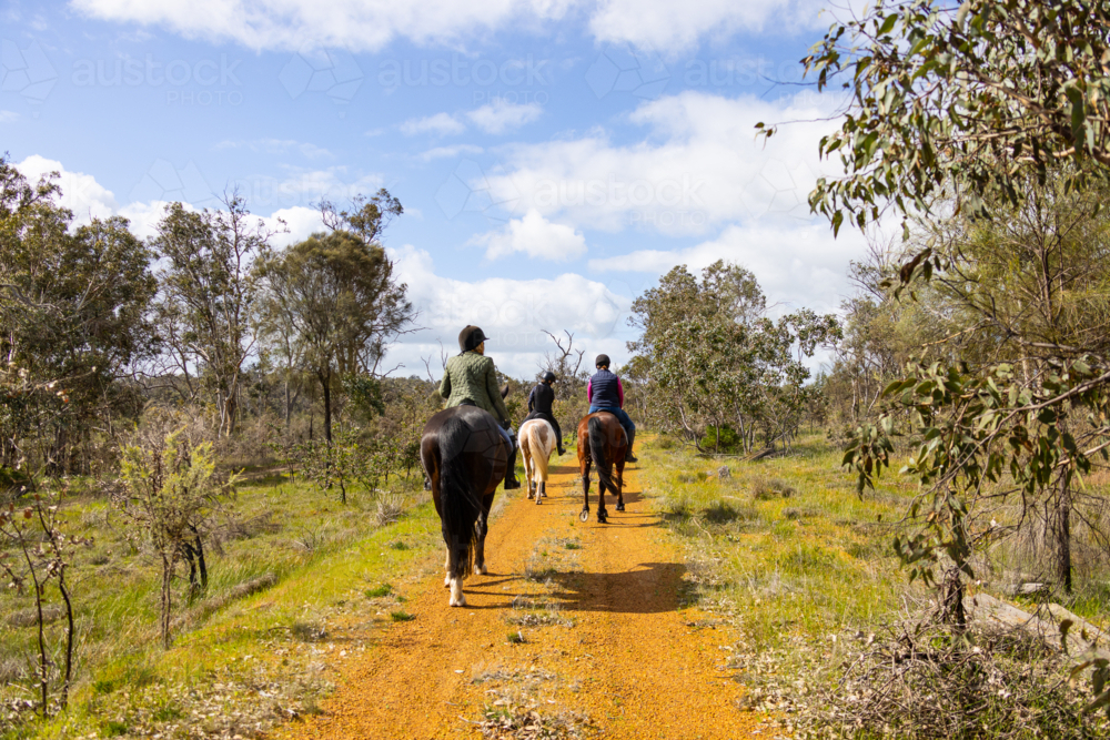 Image of Back view of multi-generation women riding horses along a ...