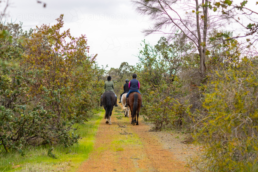 Image of Back view of multi-generation women riding horses along a ...