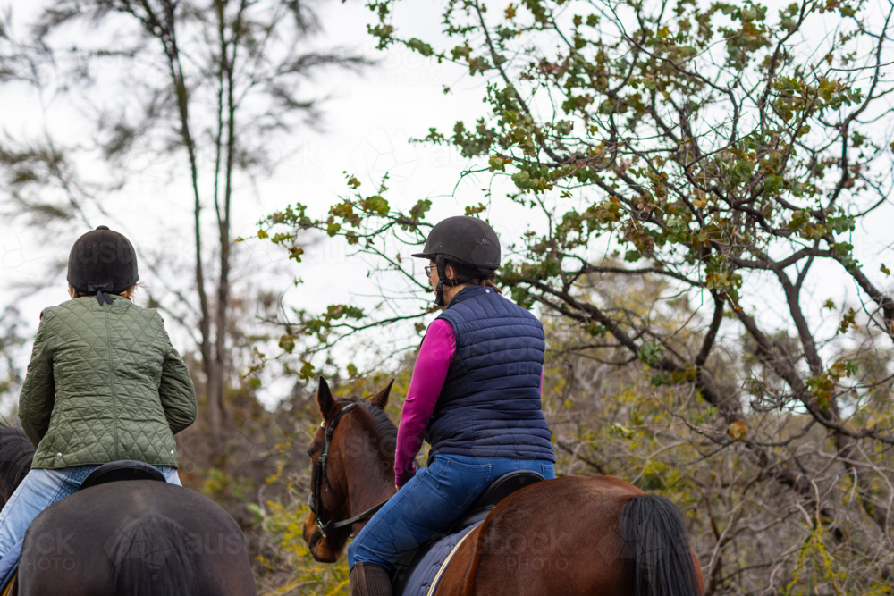 Image of Back view of two women riding horses along a narrow dirt path ...