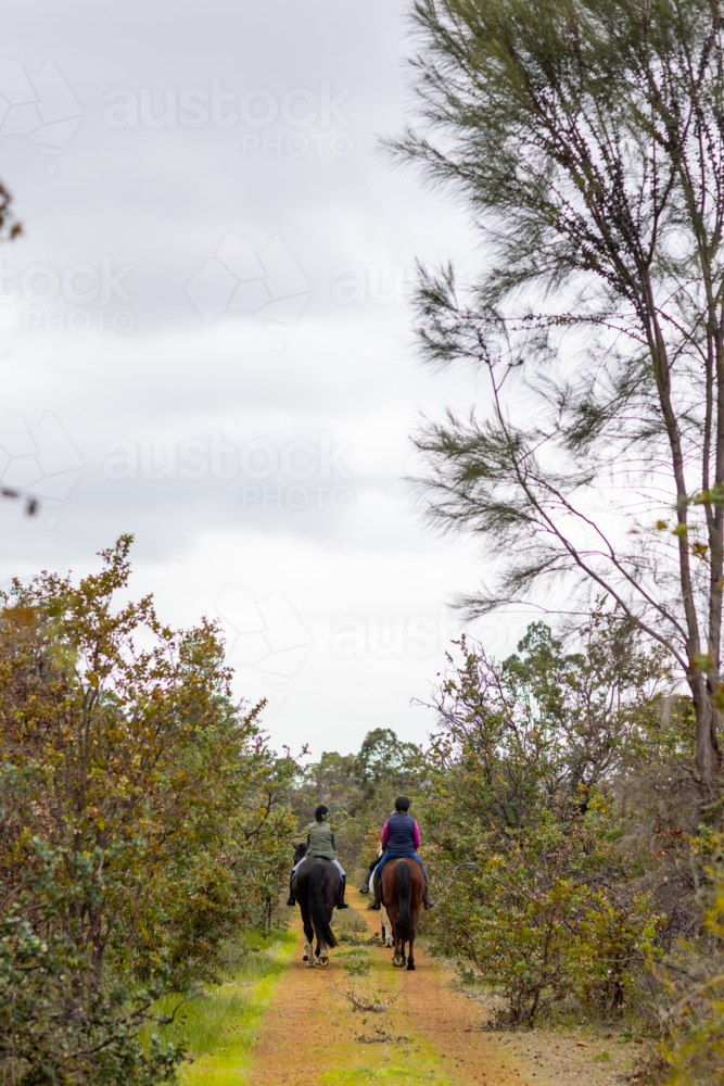 Image of Back view of two women riding horses along a narrow dirt path ...