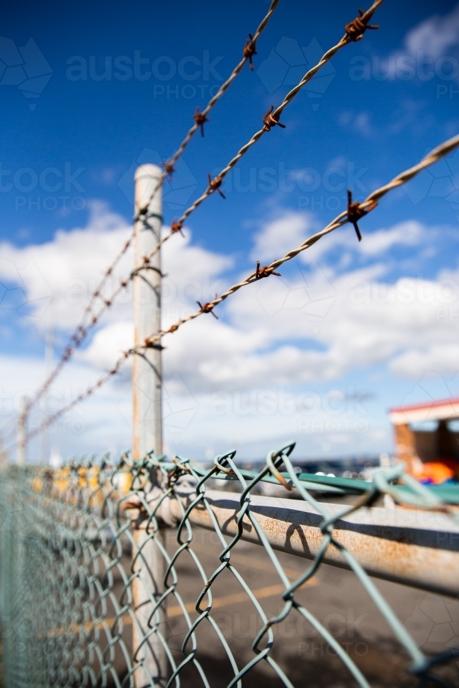 Image of barbed wire and chain link metal fence - Austockphoto