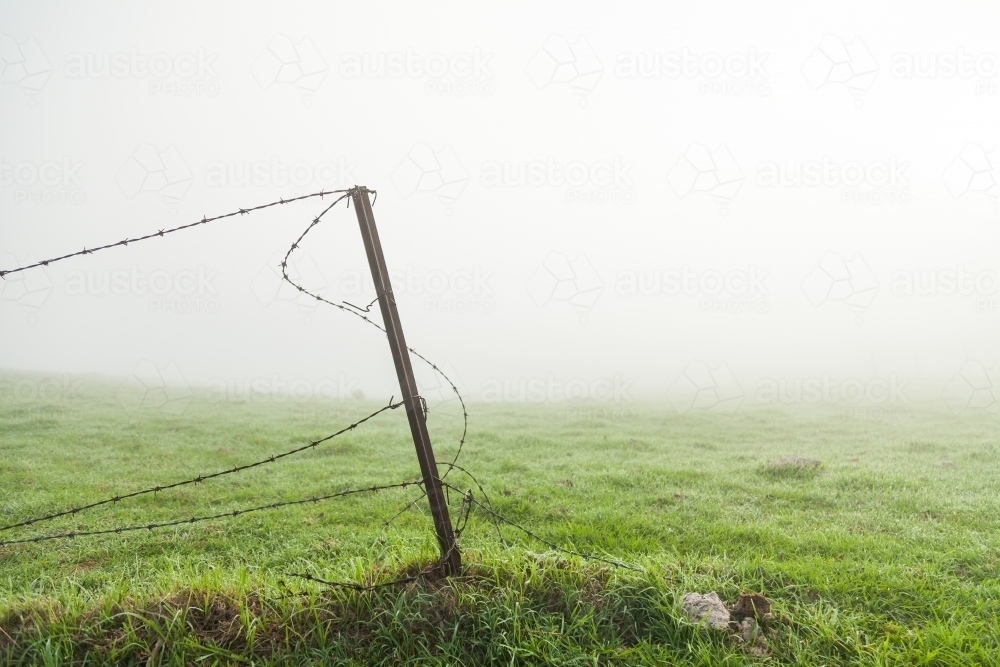 Image of Barbed wire paddock fence in mist - Austockphoto