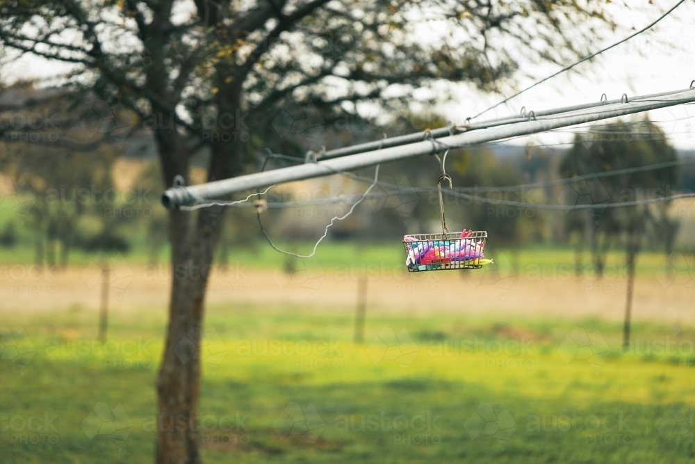 Image of Basket full of brightly coloured clothes pegs hanging from ...