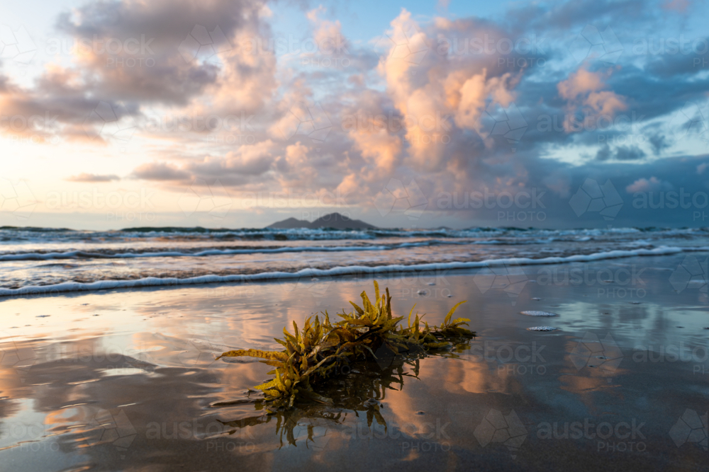 Image of Beach scene at sunrise with waves and seaweed - Austockphoto