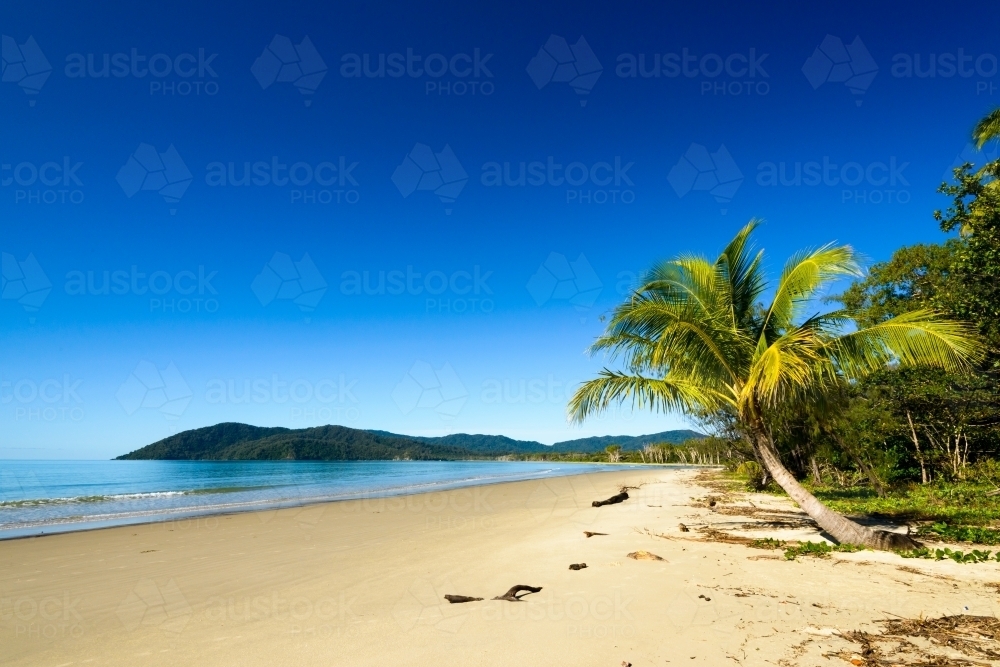 Image of Beautiful, tranquil, tropical beach scene with palm tree and ...
