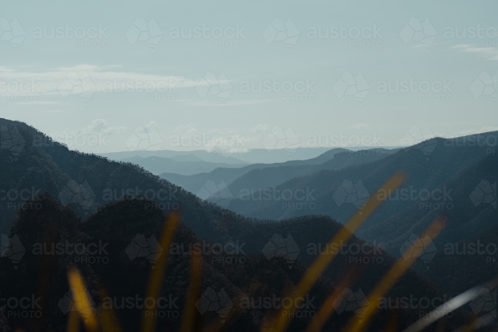 Image of Blue mountain layers through the valley at Kanangra Walls ...