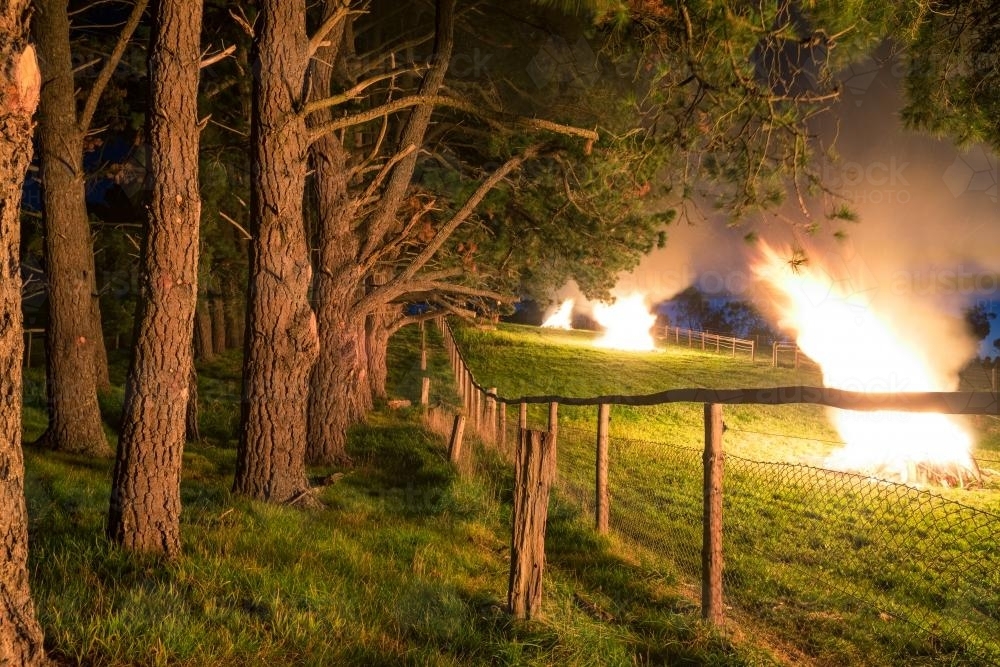 Image of Bonfires in a paddock on a rural property - Austockphoto