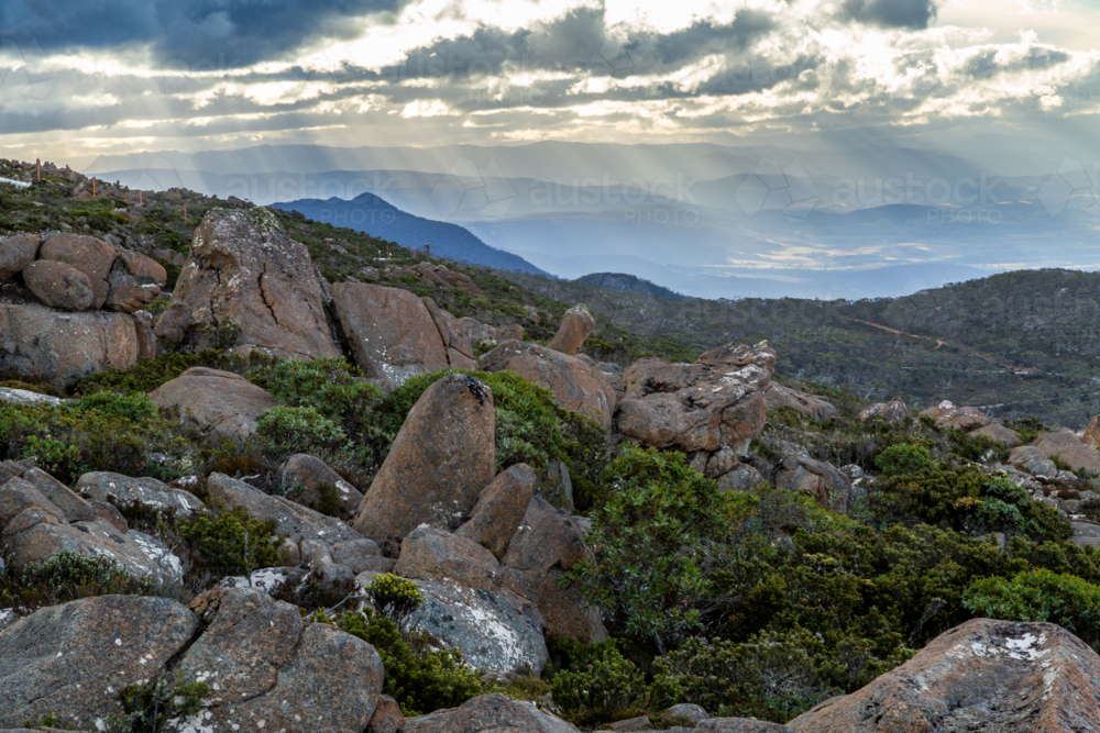 Image of Boulders and low alpine shrubs at the top of Mount Wellington ...