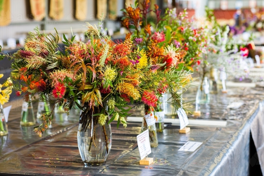Image of Bouquet of native flowers entry at show in horticulture ...