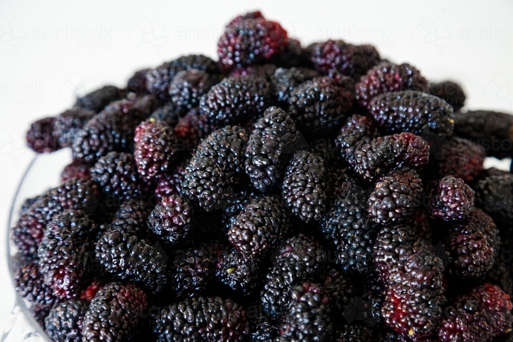Image of Bowl of fresh mulberries - summer fruit - Austockphoto