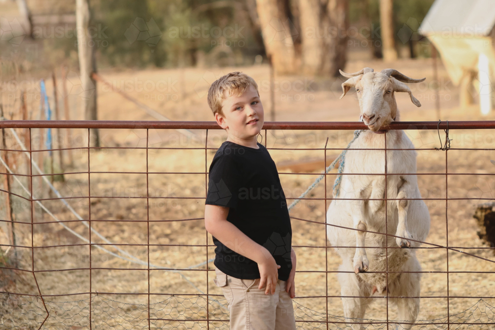 Image of Boy and goat standing together at farm gate - Austockphoto