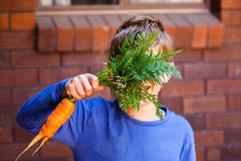 Image of Boy hiding face behind carrot fresh picked from garden ...