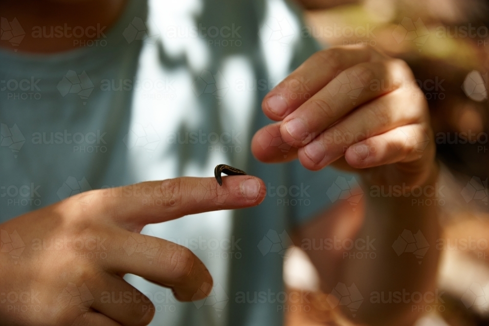 Image of Boy holding leech - Austockphoto