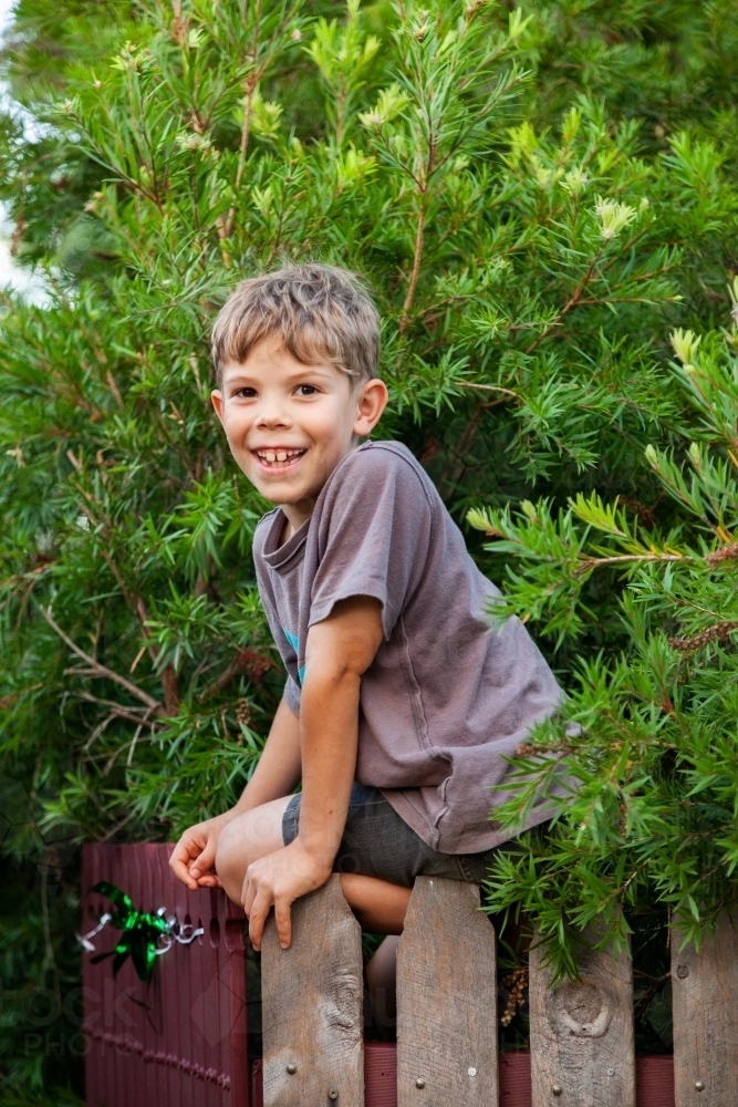 Image of Boy sitting on gate looking over back fence - Austockphoto