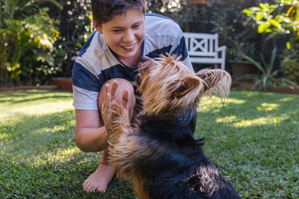 Image of boy training his dog - Austockphoto