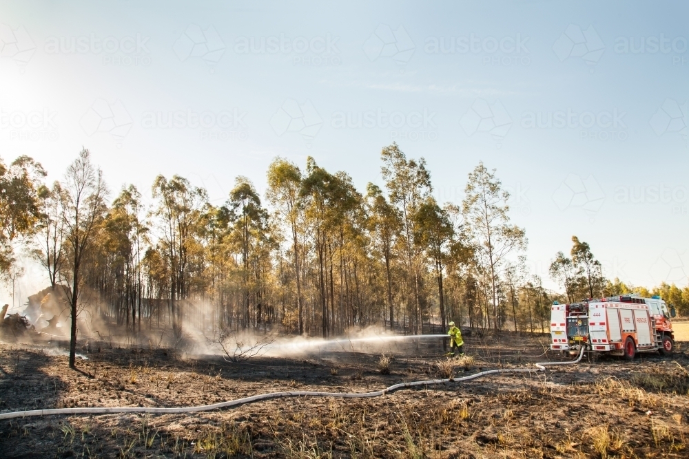 Image of Brave firefighter with hose and firetruck putting out grass ...