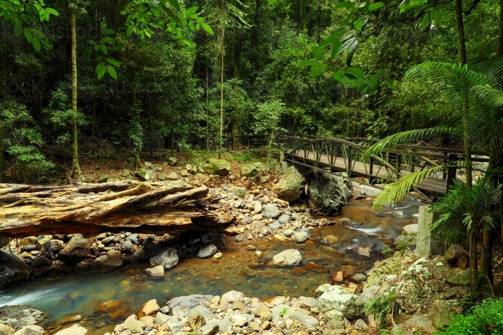 Image of Bridge over a creek in Springbrook National Park. - Austockphoto