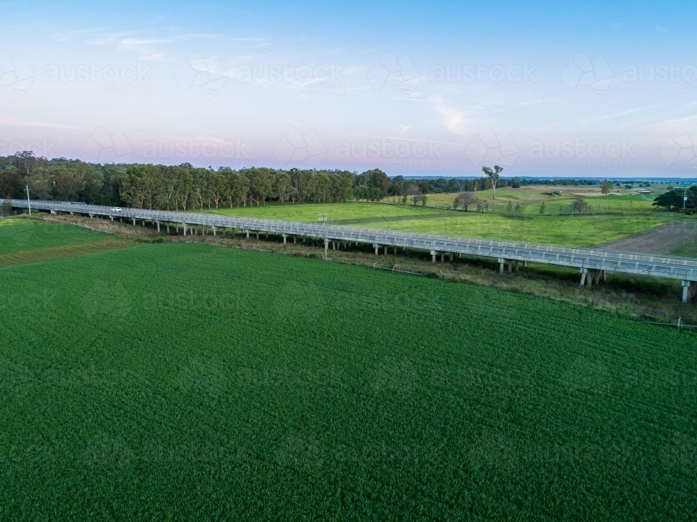 Image of Bridge over floodplain growing crop of lucerne alfalfa feed ...