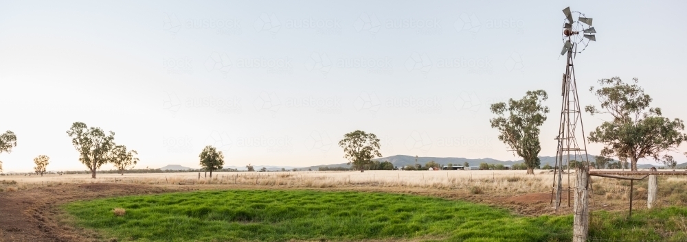 Image of Broken down old windmill on farm with green grass bog ...