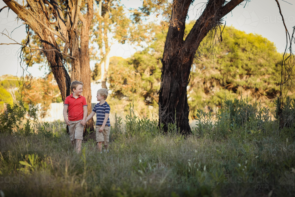 Image of Brothers walking together through overgrown field in golden ...