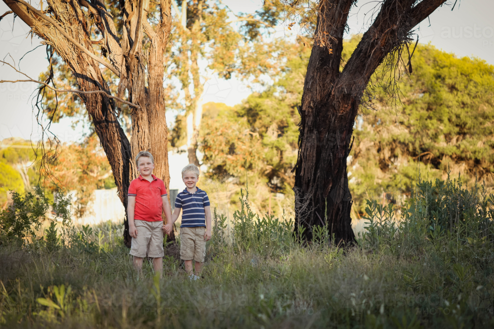 Image of Brothers walking together through overgrown field in golden ...