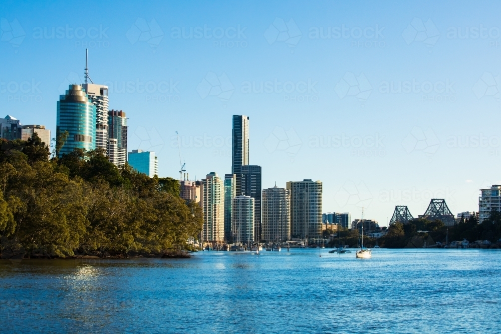 Image of Buildings of Brisbane city along the Brisbane River adjacent ...