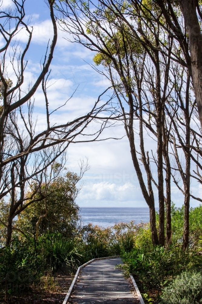 Image of Bush boardwalk opening to ocean horizon - Austockphoto