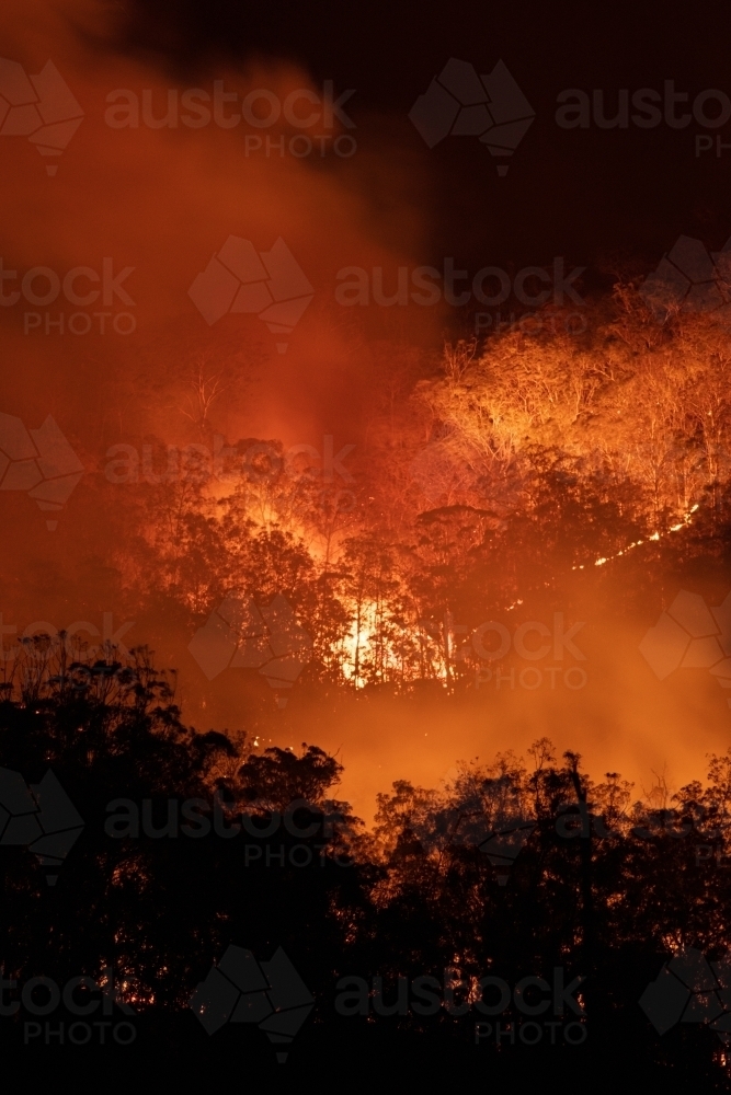 Image of Bushfire at Night - Austockphoto