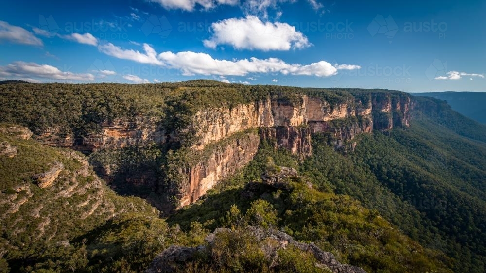 Image of Butter box canyon near Mt Hay in the Blue Mountains National ...