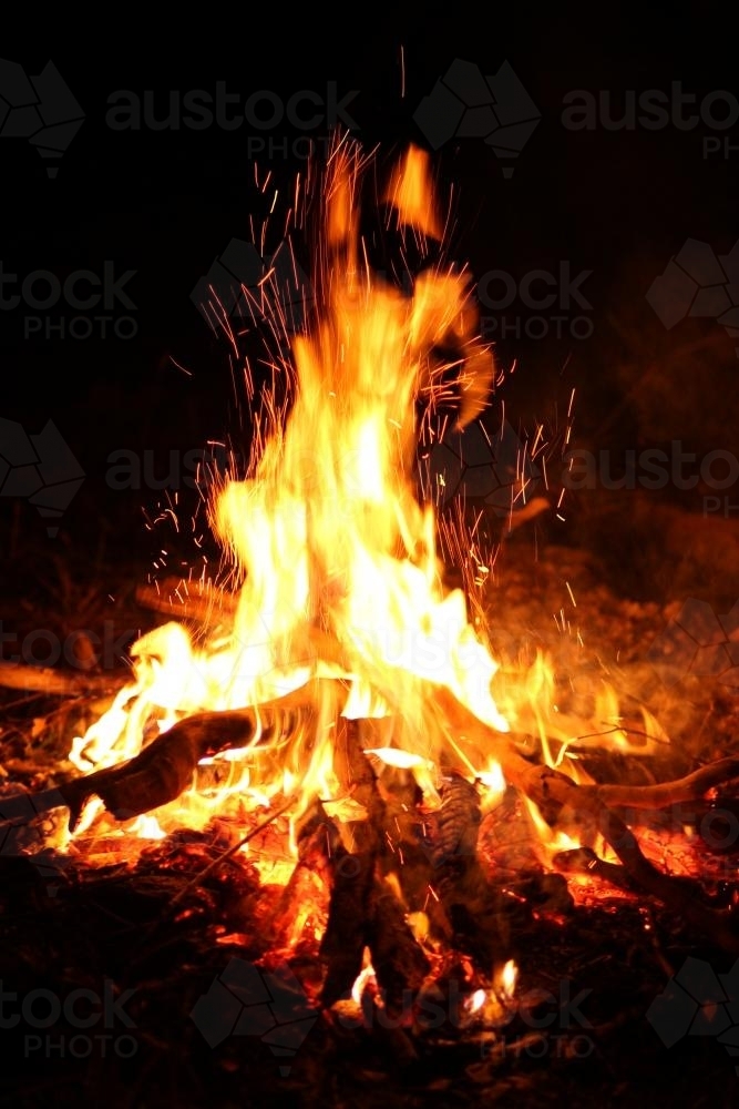 Image of Campfire burning bright in the night - Austockphoto