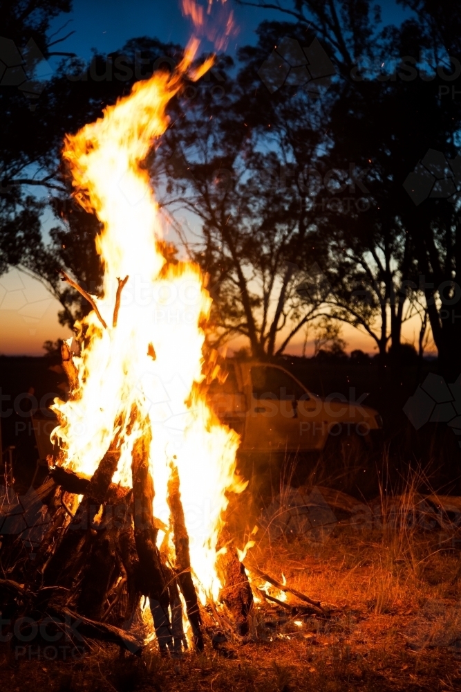 Image of Campfire burning in a clearing in a farm paddock - Austockphoto
