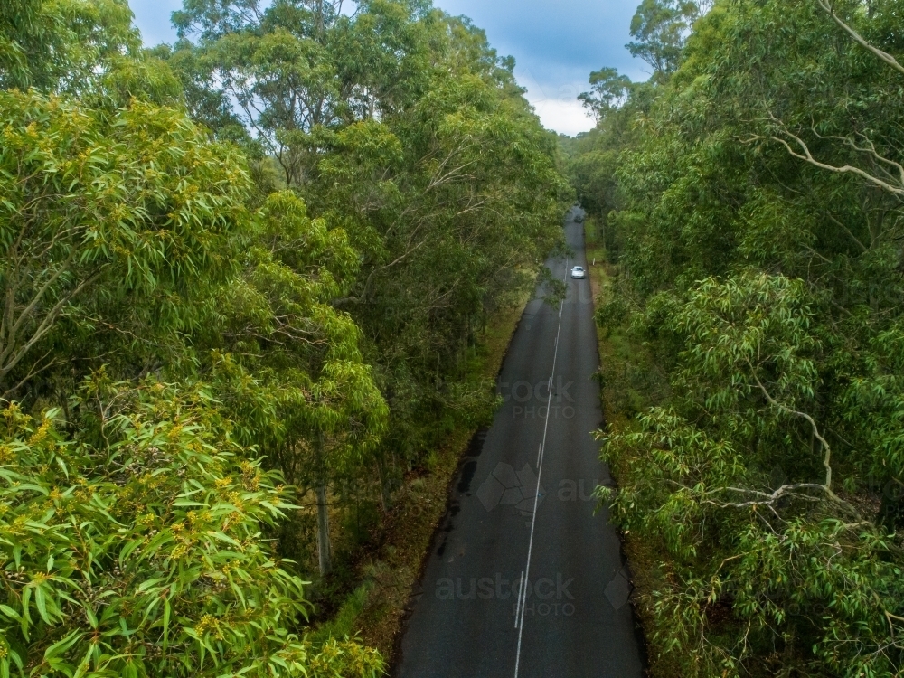 Image of car travelling down treelined rural road aerial view from ...