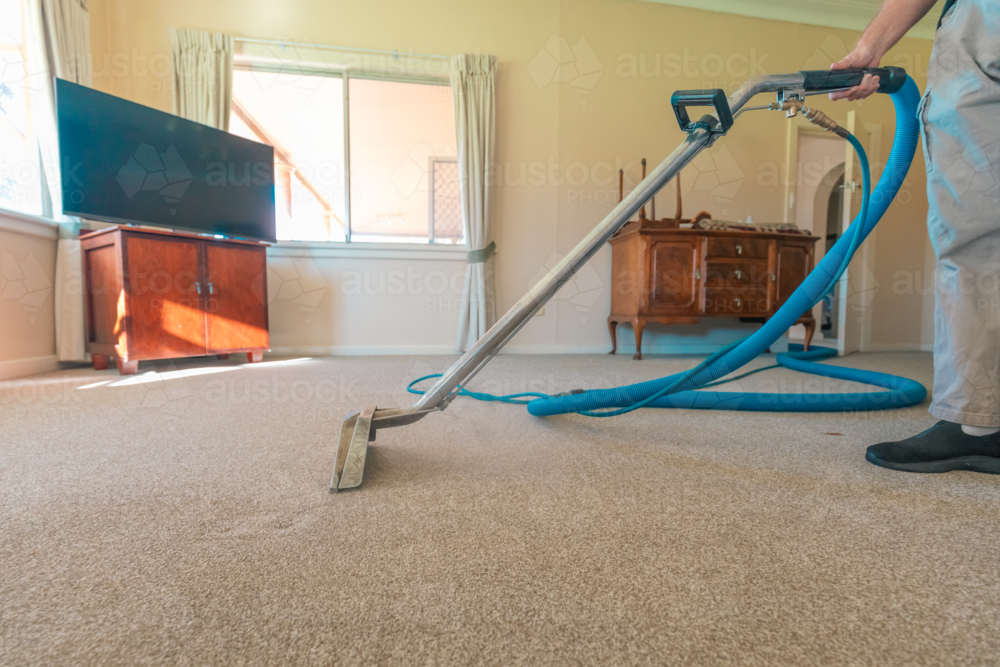 Image of Carpet cleaning professional using steam cleaner - Austockphoto