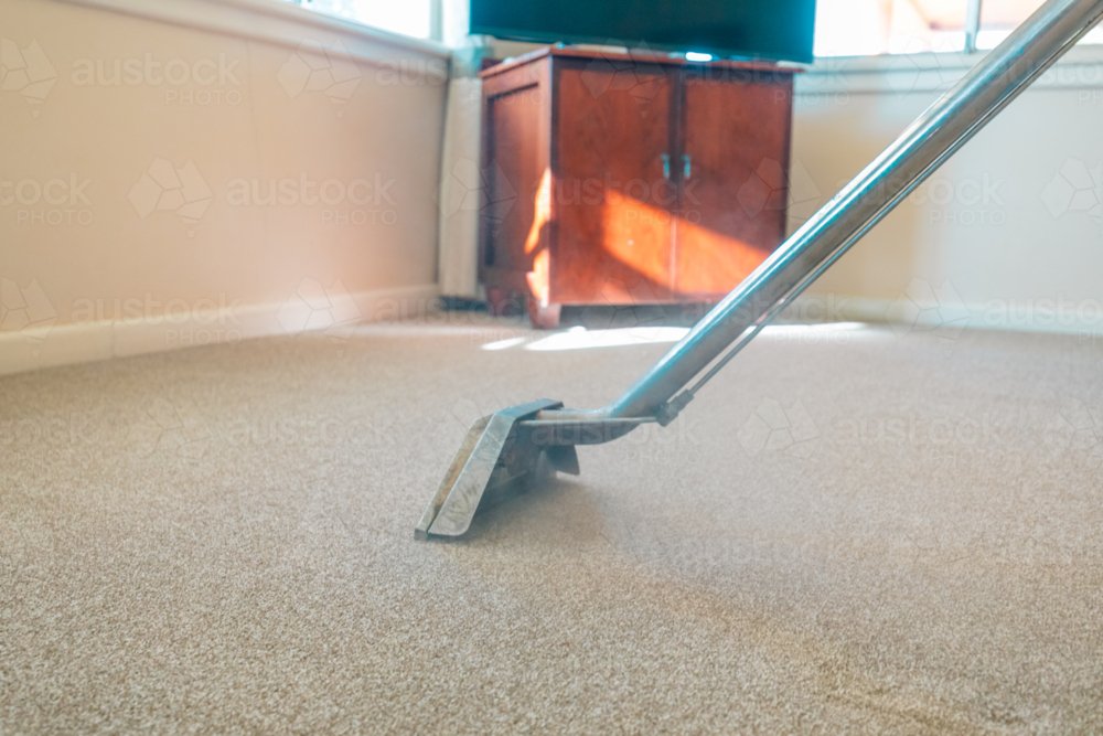 Image of Carpet cleaning professional using steam cleaner in home ...