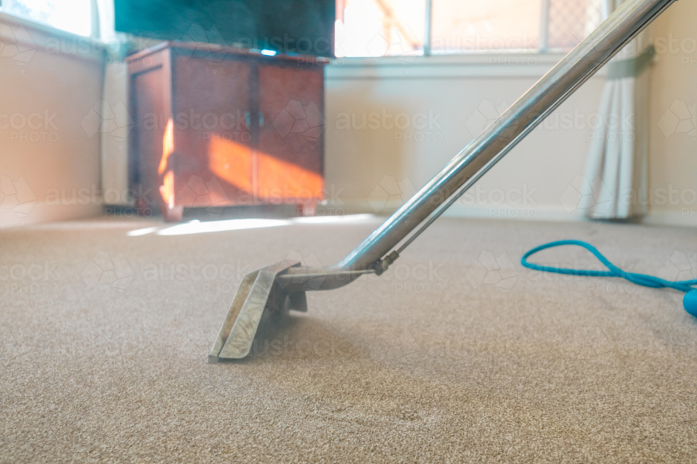 Image of Carpet cleaning professional using steam cleaner in home ...